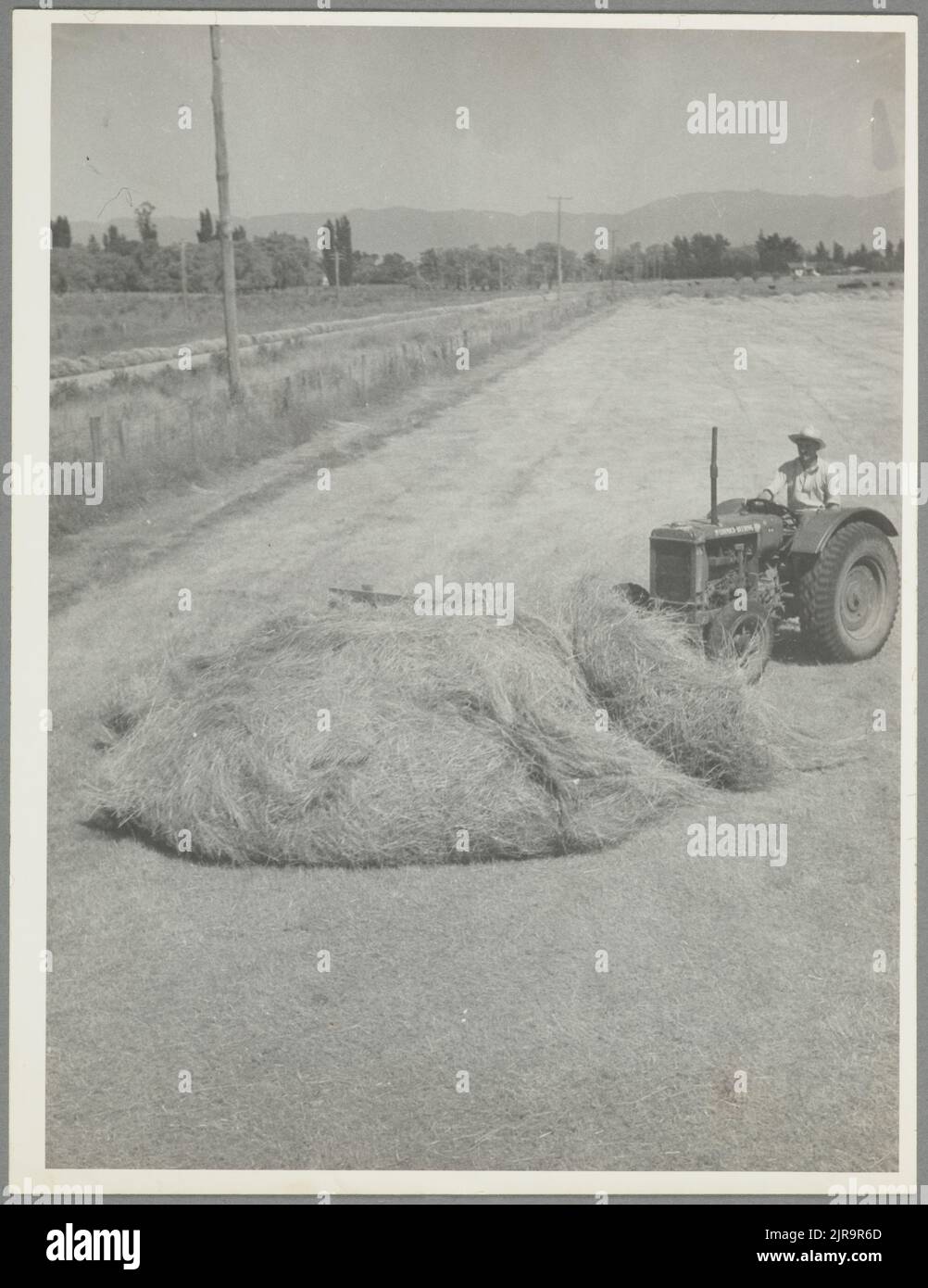 Ferme pukeora Banque de photographies et d’images à haute résolution ...