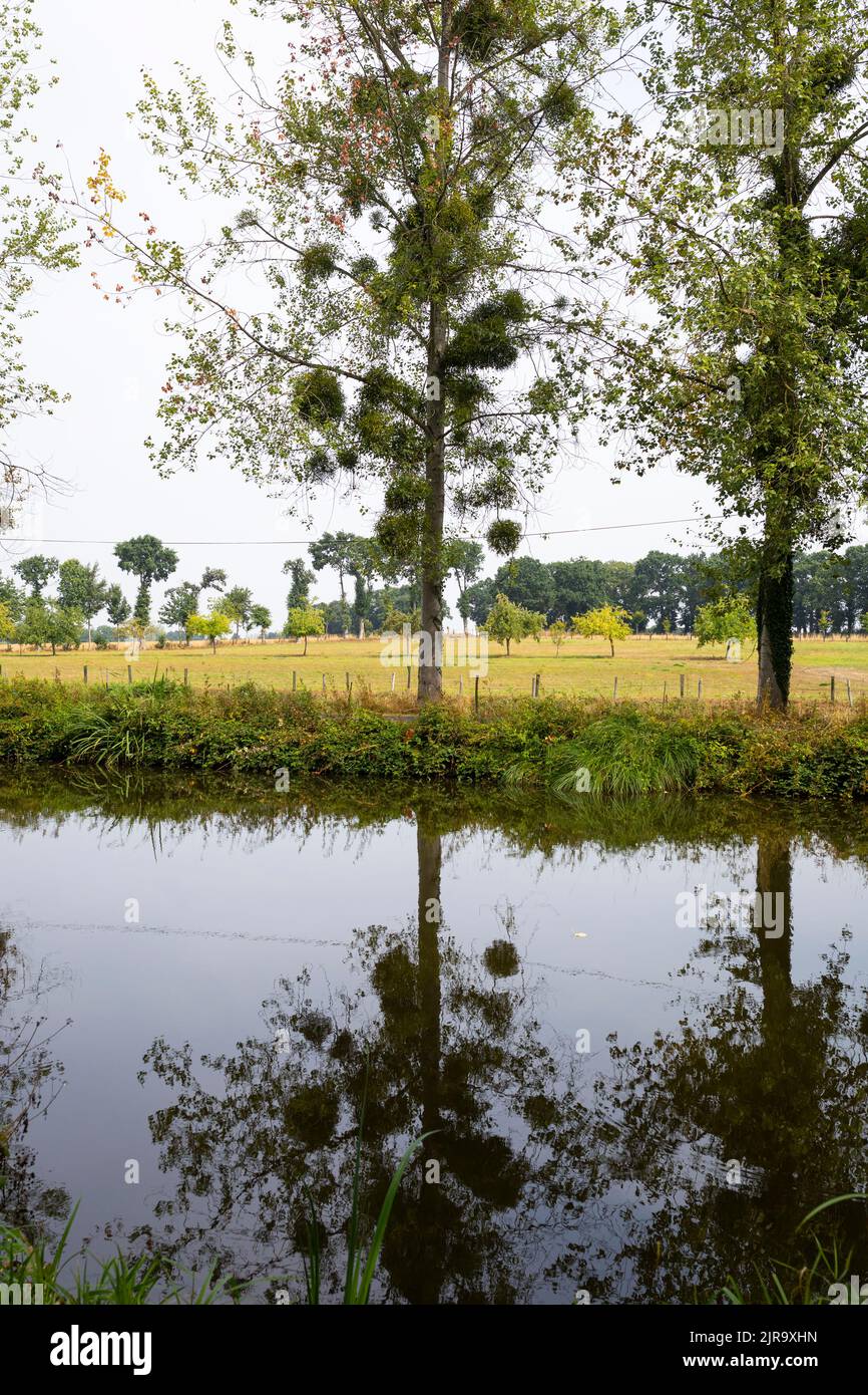 Hede bazouges Banque de photographies et d’images à haute résolution - Alamy