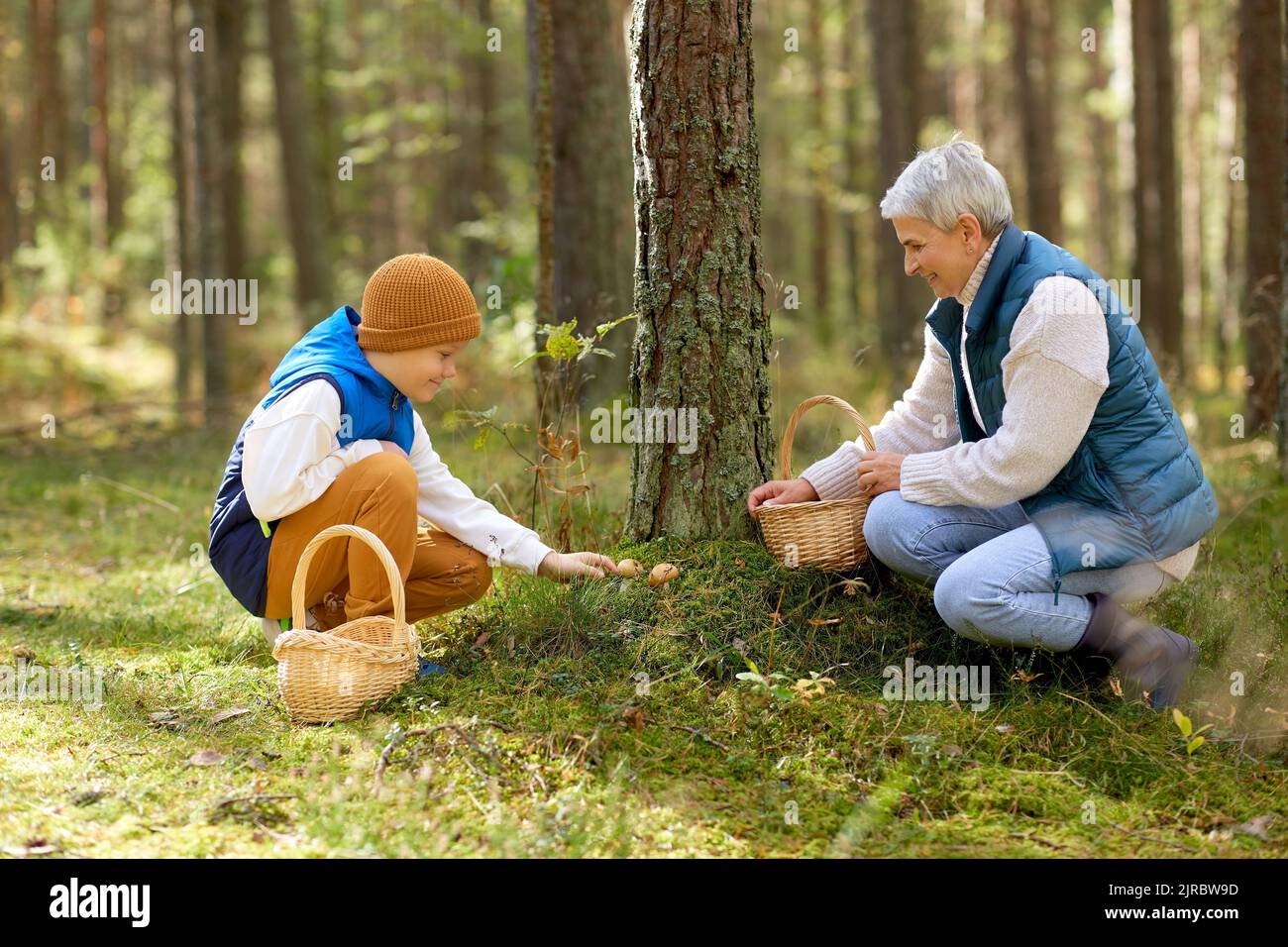 grand-mère et petit-fils aux champignons en forêt Photo Stock - Alamy