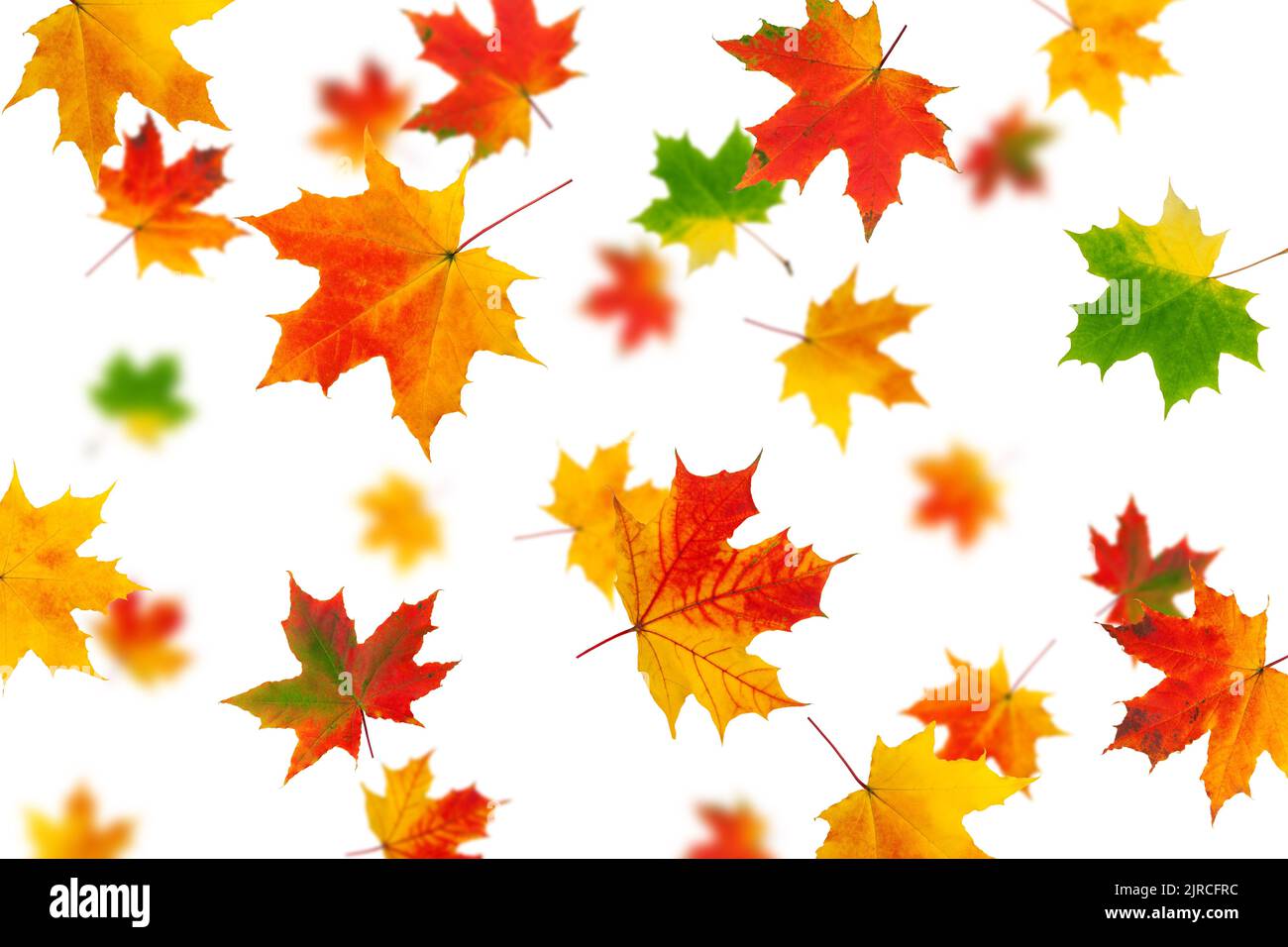 Feuille d'automne qui tombe Banque de photographies et d’images à haute ...