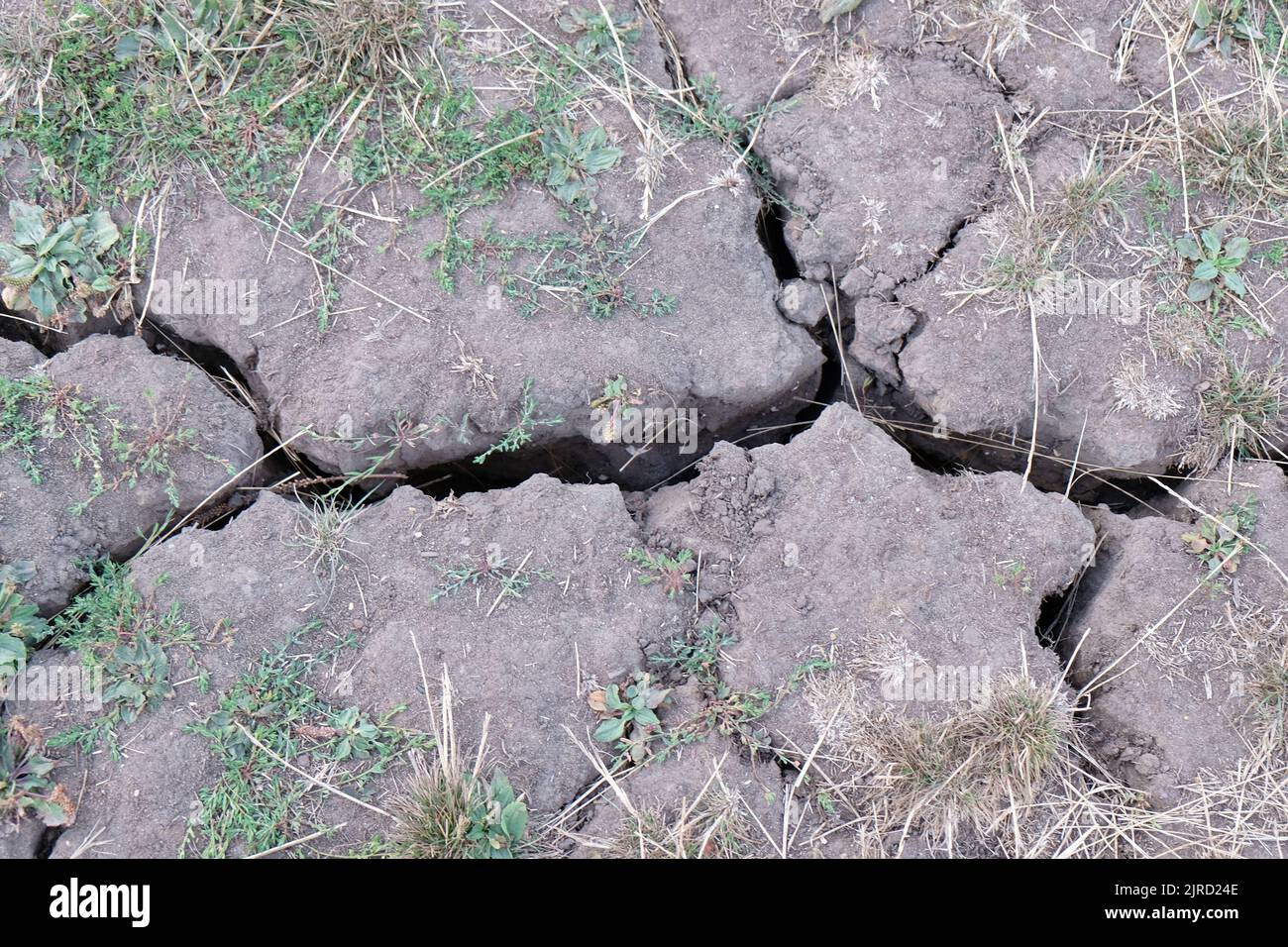 Fissures profondes du sol Banque de photographies et d’images à haute ...