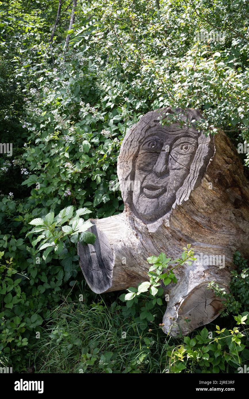 Le visage sculpté dans la forêt de Ferrieres-en-Brie par Daniel Stinus ...