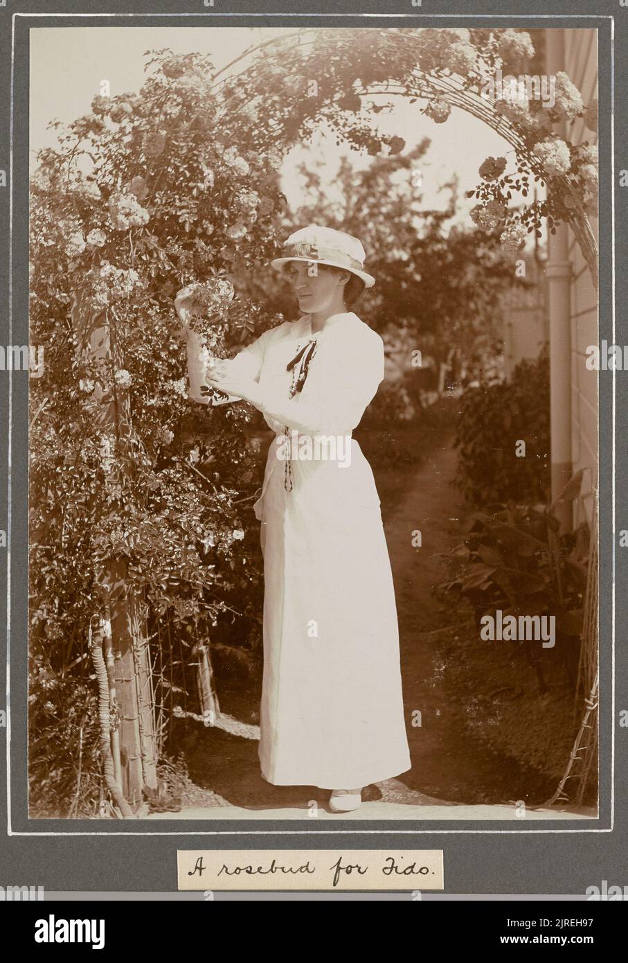 Photographies de famille 1914 Banque de photographies et d’images à haute résolution - Alamy