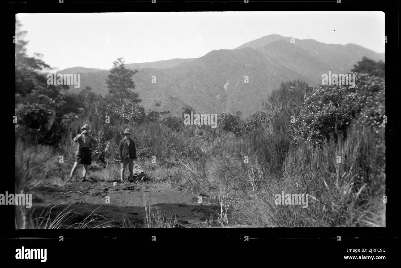 Gamme tararua gamme tararua Banque de photographies et d’images à haute ...