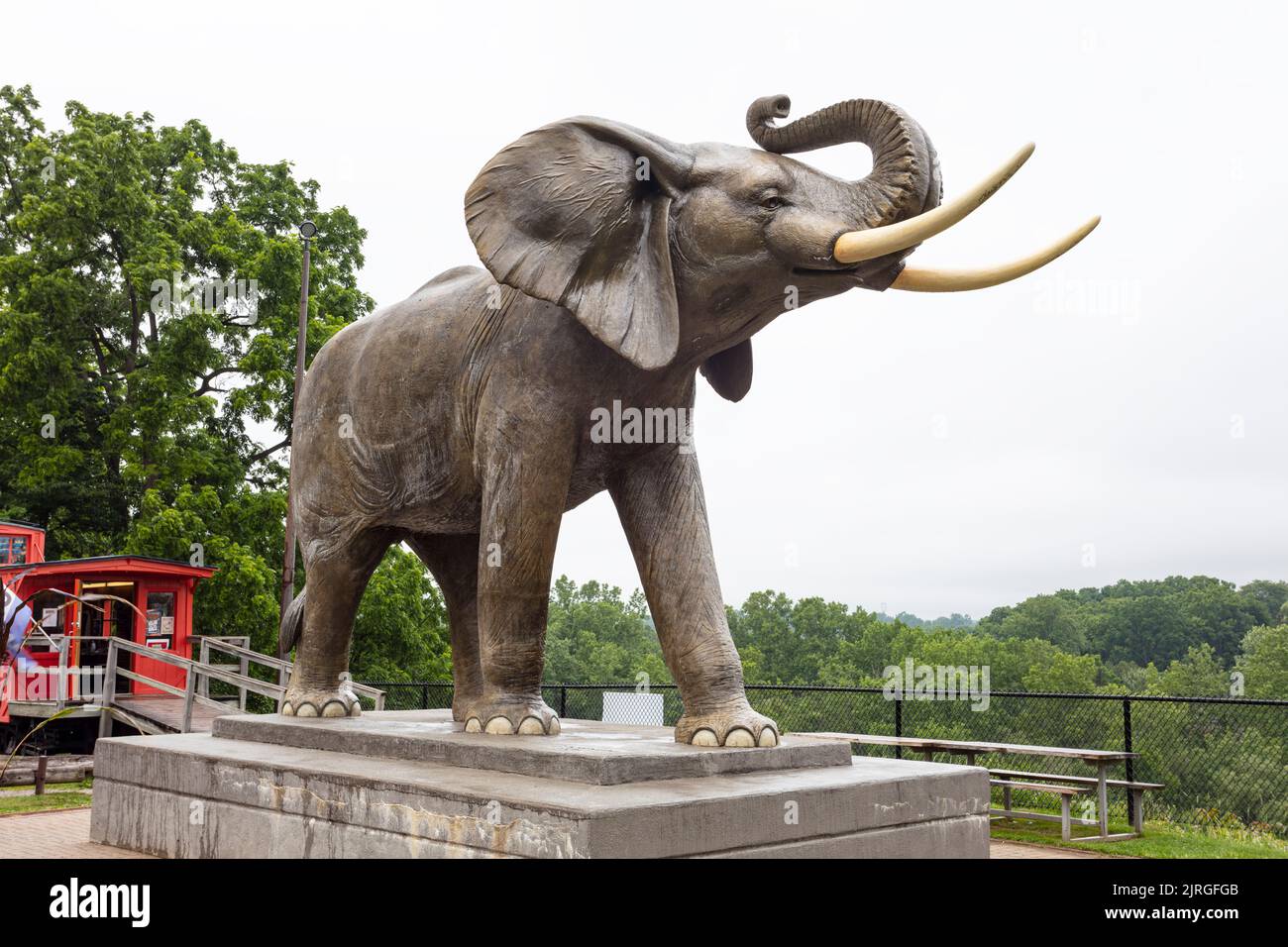 La star de P.T. Le « plus grand spectacle sur terre » de Barnum aurait ...