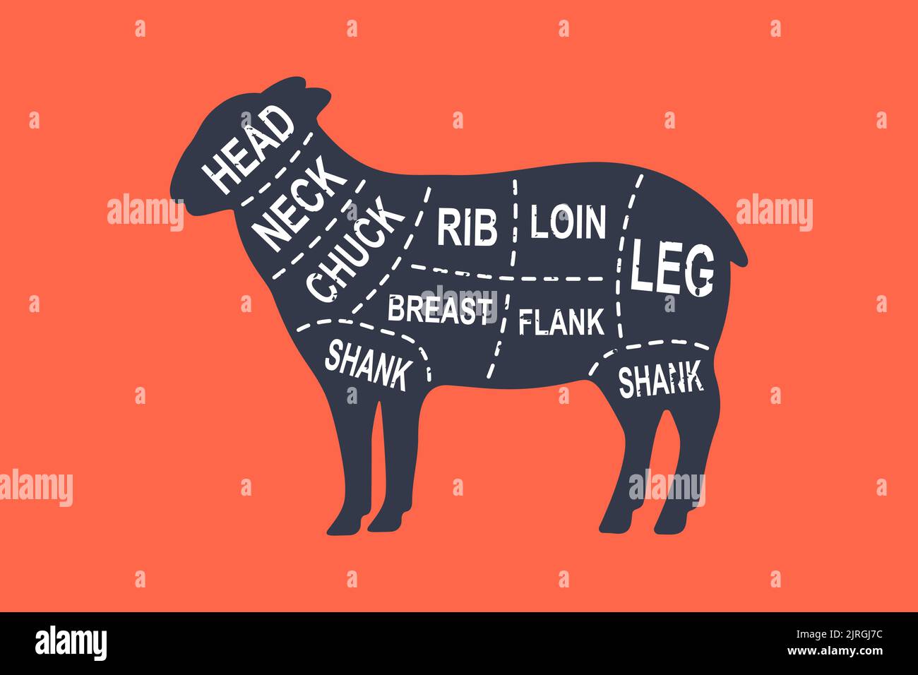 Le schéma des moutons coupe. Affiche de la structure du boucher. Coupes ...