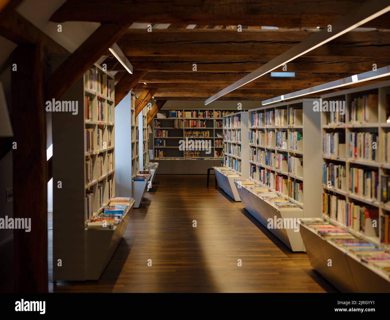 Bâle, Suisse - 8 juillet 2022: Livres dans une nouvelle bibliothèque ...