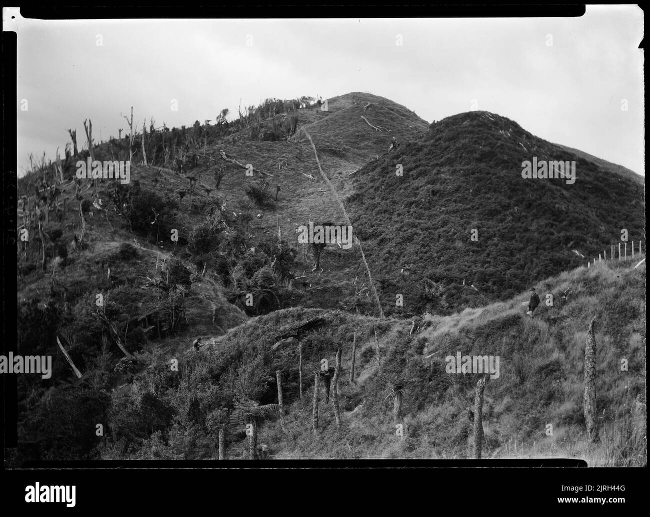 21 avril 1929 parc tararuas Banque de photographies et d’images à haute ...