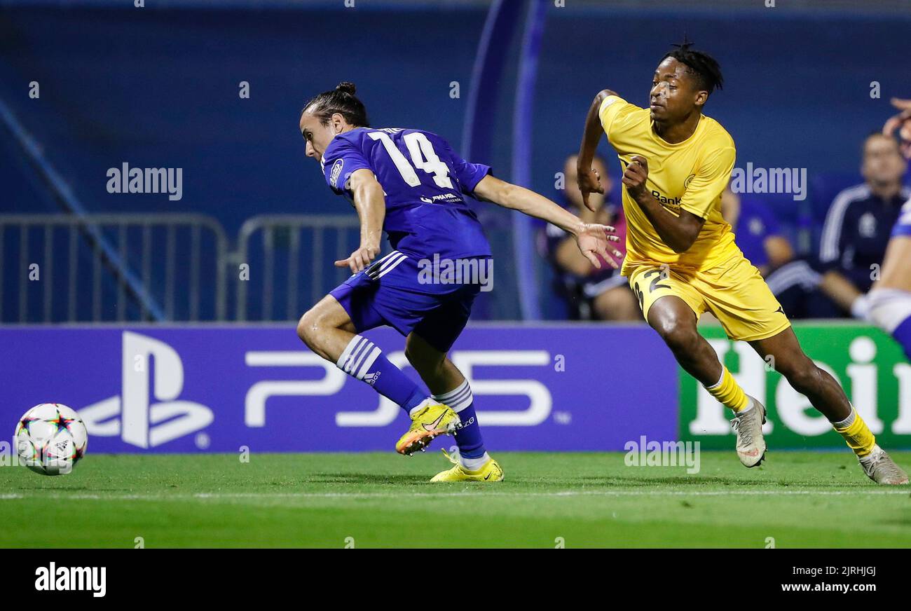 Robert Ljubicic de Dinamo et Joel Mugisha de Bodo/Glimt en action ...
