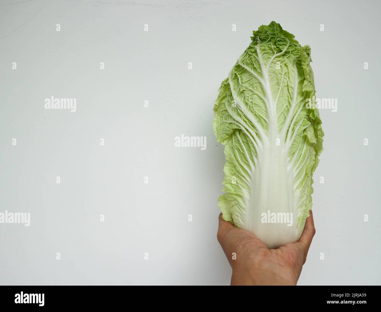 Espace blanc. Le putih sawi, le pétcai ou la chicorée est un légume qui ...