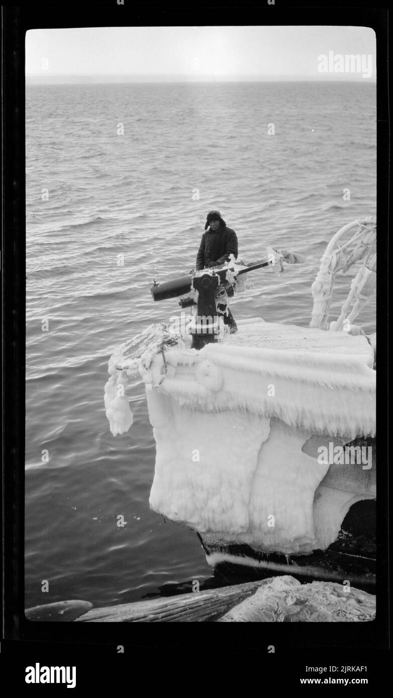 Pêche à la baleine dans la mer de Ross, 1924, océan Austral, par le ...