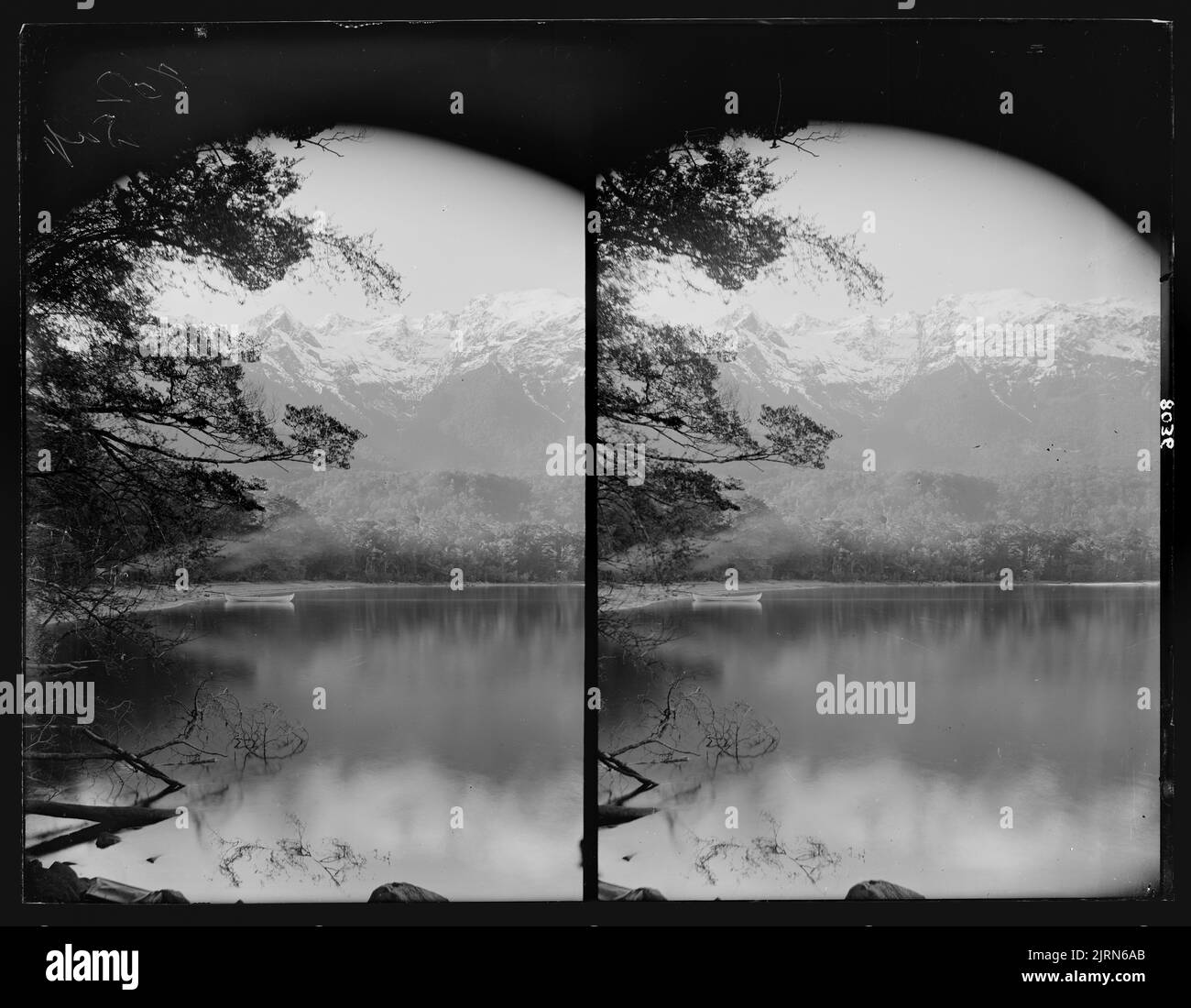 Pics howitt Banque de photographies et d’images à haute résolution - Alamy