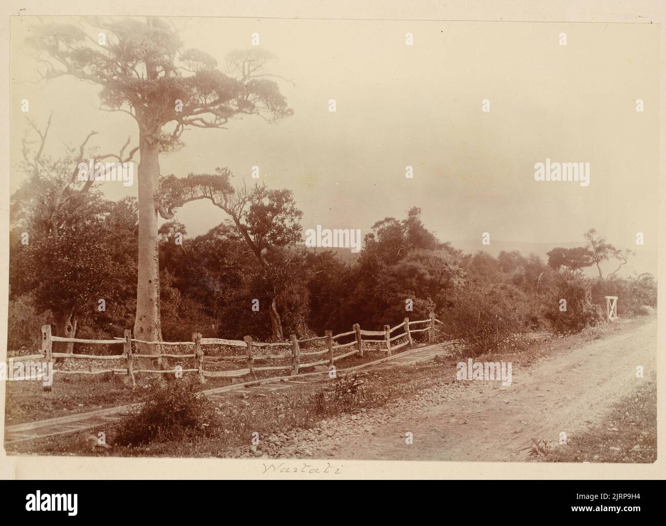 Waitati Banque de photographies et d’images à haute résolution - Alamy