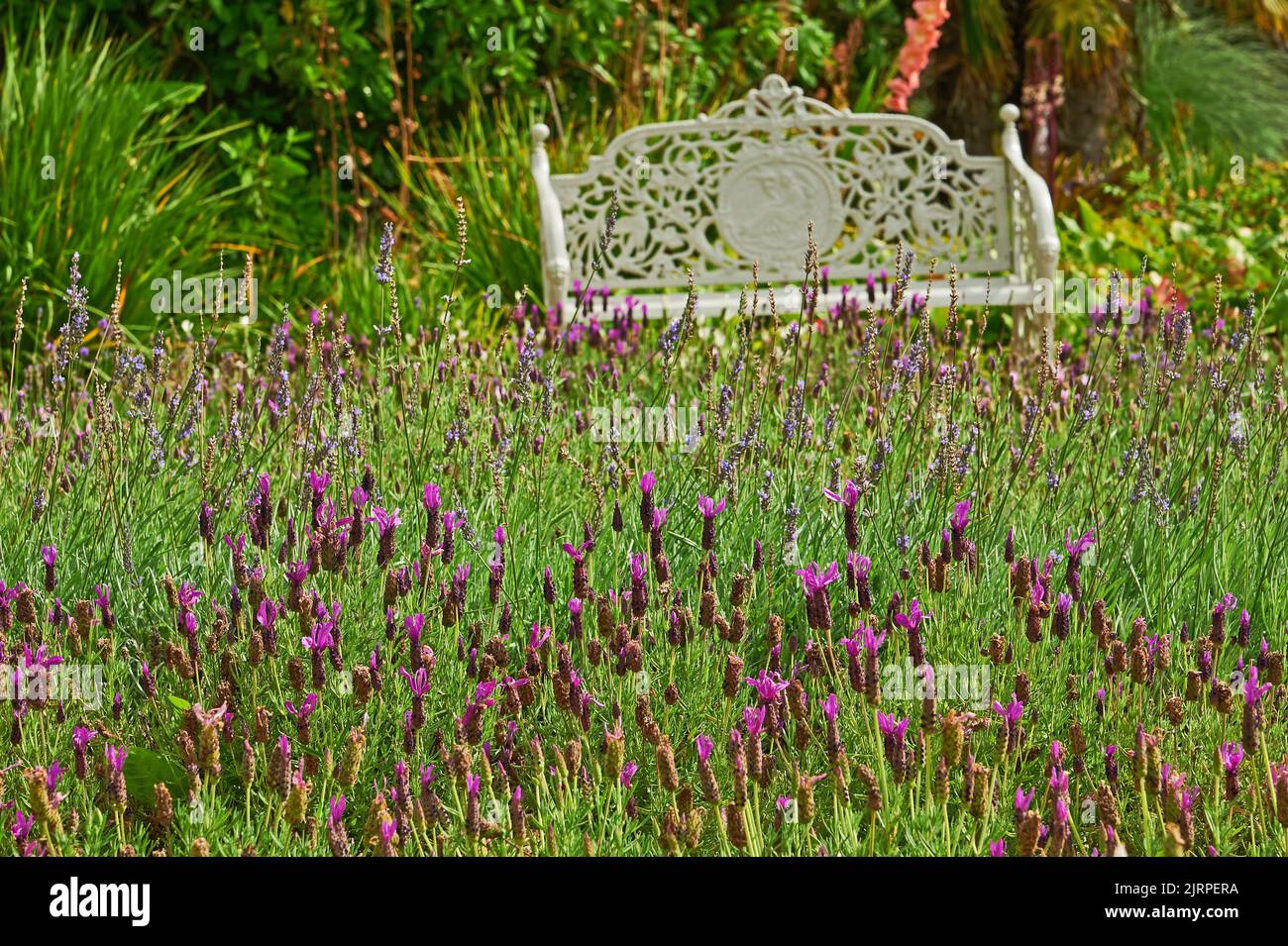 Jardins vandeleur Banque de photographies et d’images à haute ...