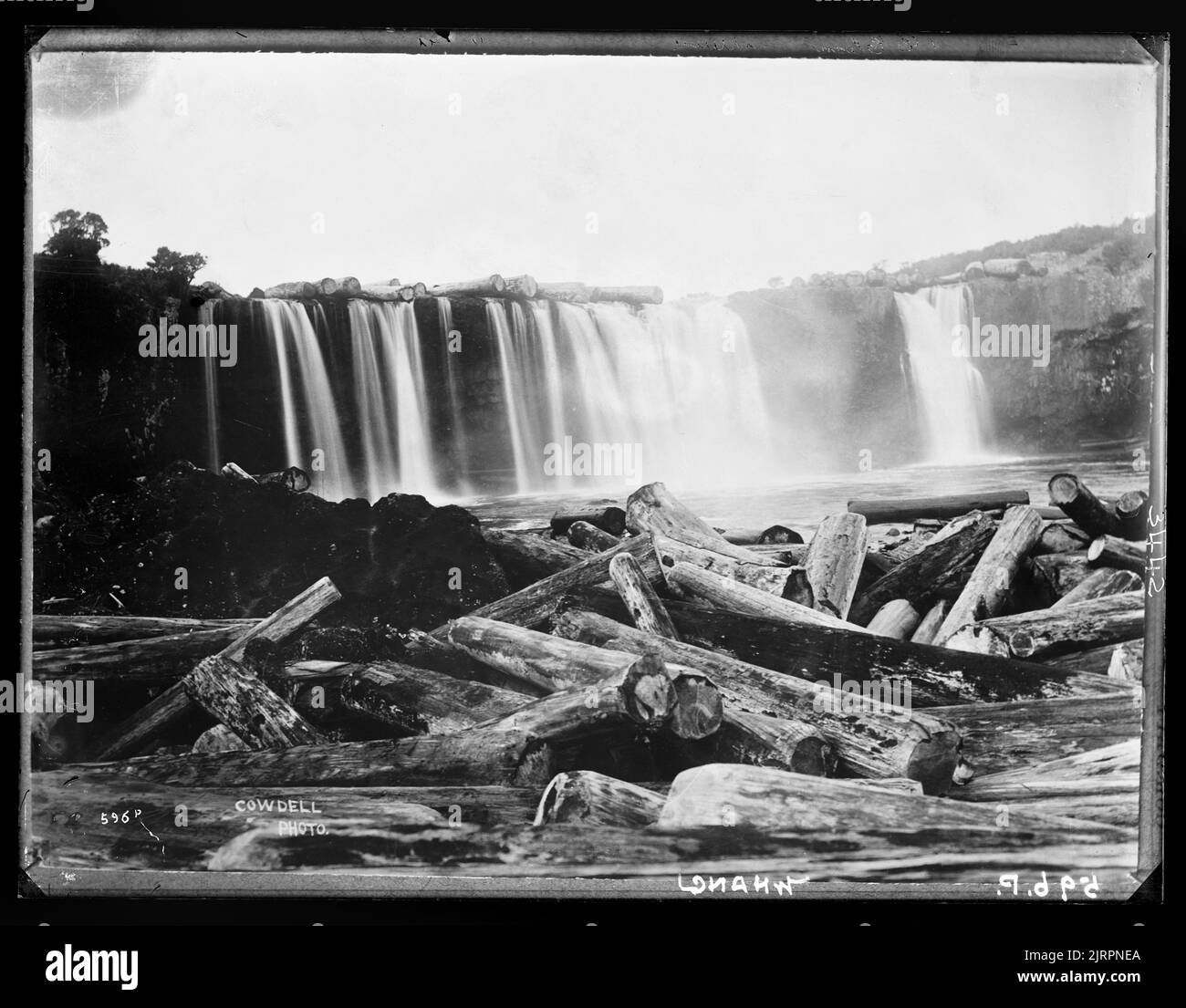 Cascade kauri Banque de photographies et d’images à haute résolution ...