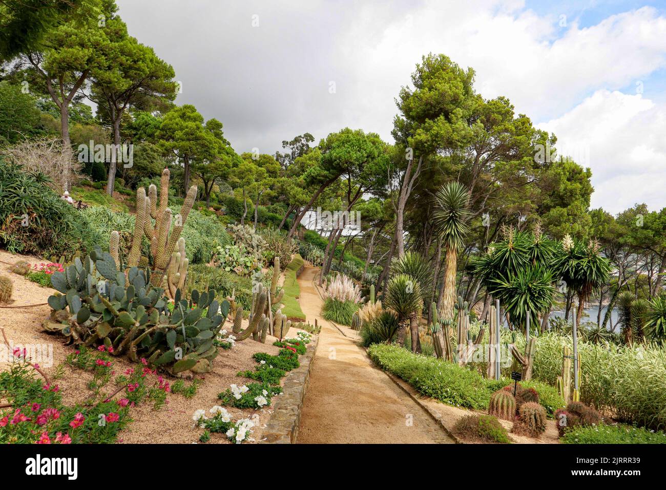 Espagne, Catalogne, Calella de Palafrugell: Le jardin botanique du Cap ...