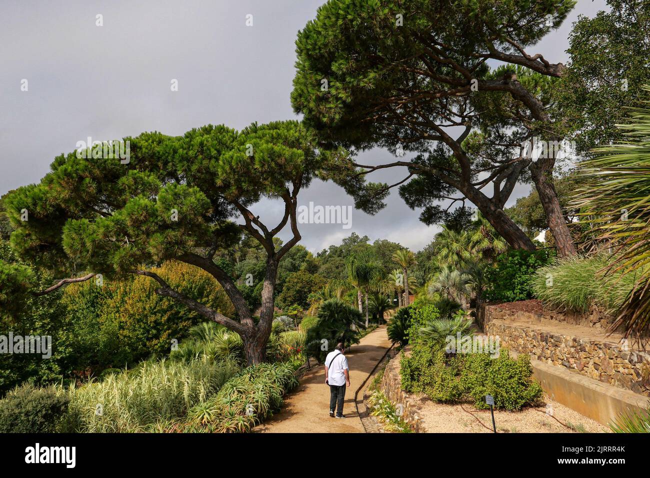 Jardins de cap roig Banque de photographies et d’images à haute ...