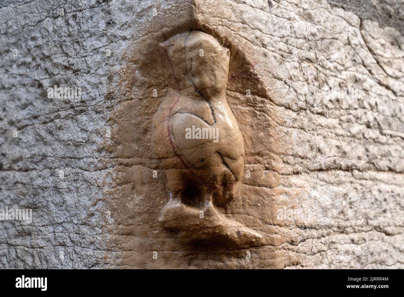 La chouette (chouette), sculptée sur le côté de l'Église notre-Dame ...