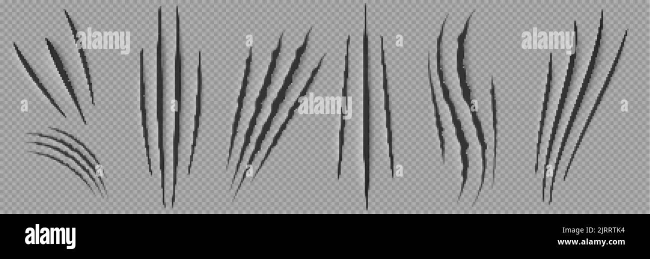 Griffe tigre png Banque de photographies et d’images à haute résolution ...