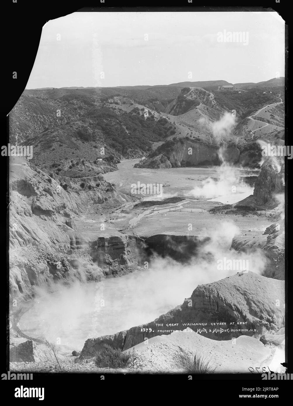 Geyser waimangu Banque de photographies et d’images à haute résolution ...