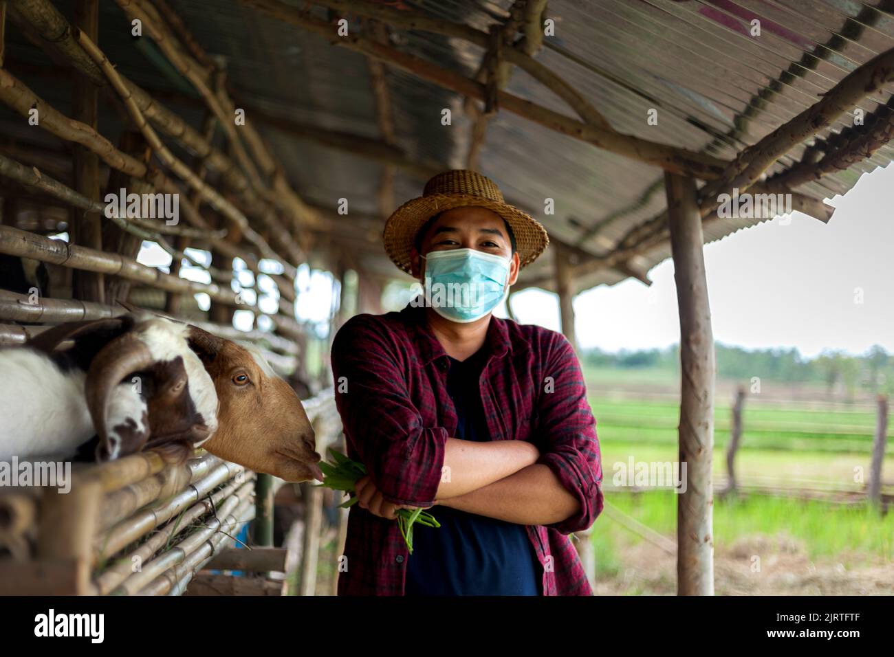 Un fermier thaïlandais fièrement debout dans sa ferme de chèvre avec ...