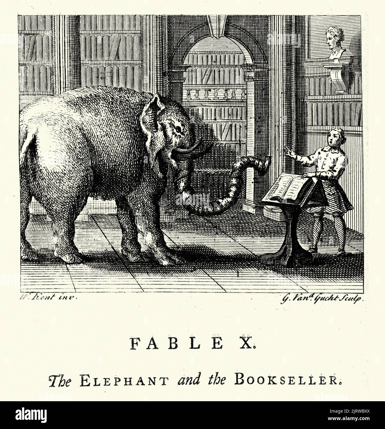 Elephant fable Banque de photographies et d’images à haute résolution ...