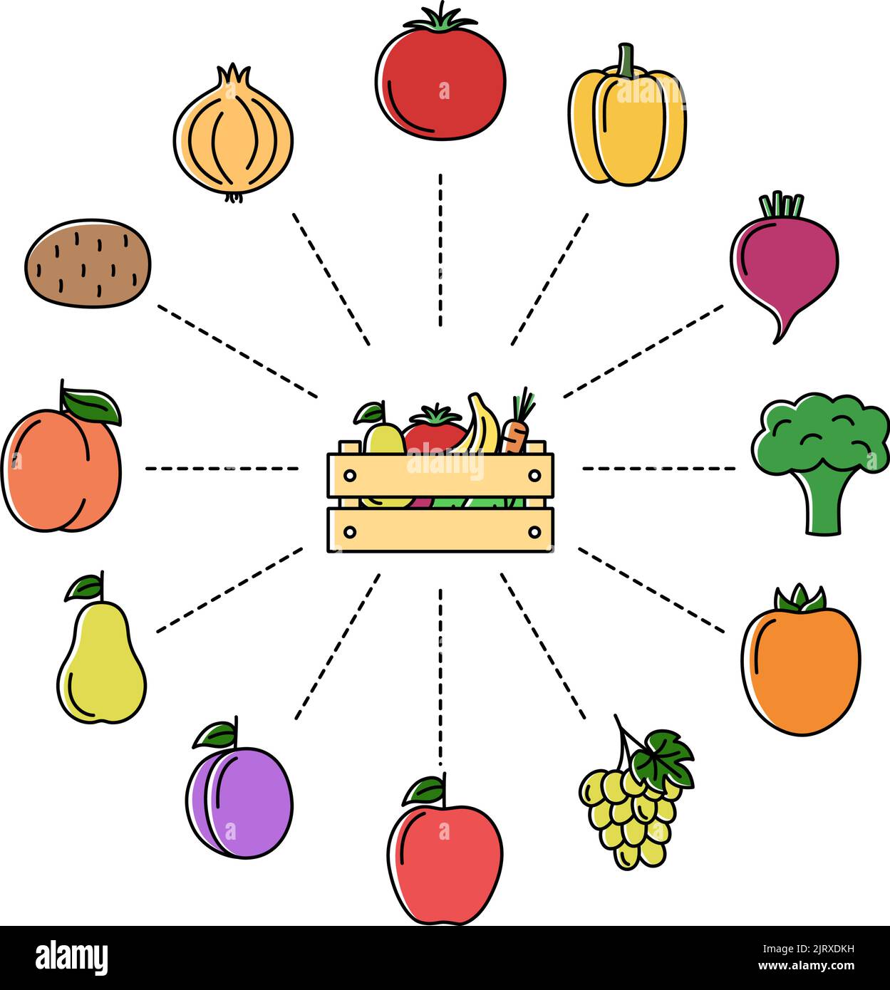 Infographie de fruits Banque d'images vectorielles - Alamy