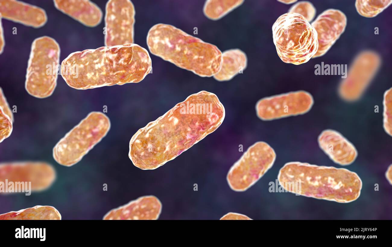 Enterobacter cloacae Banque de photographies et d’images à haute ...