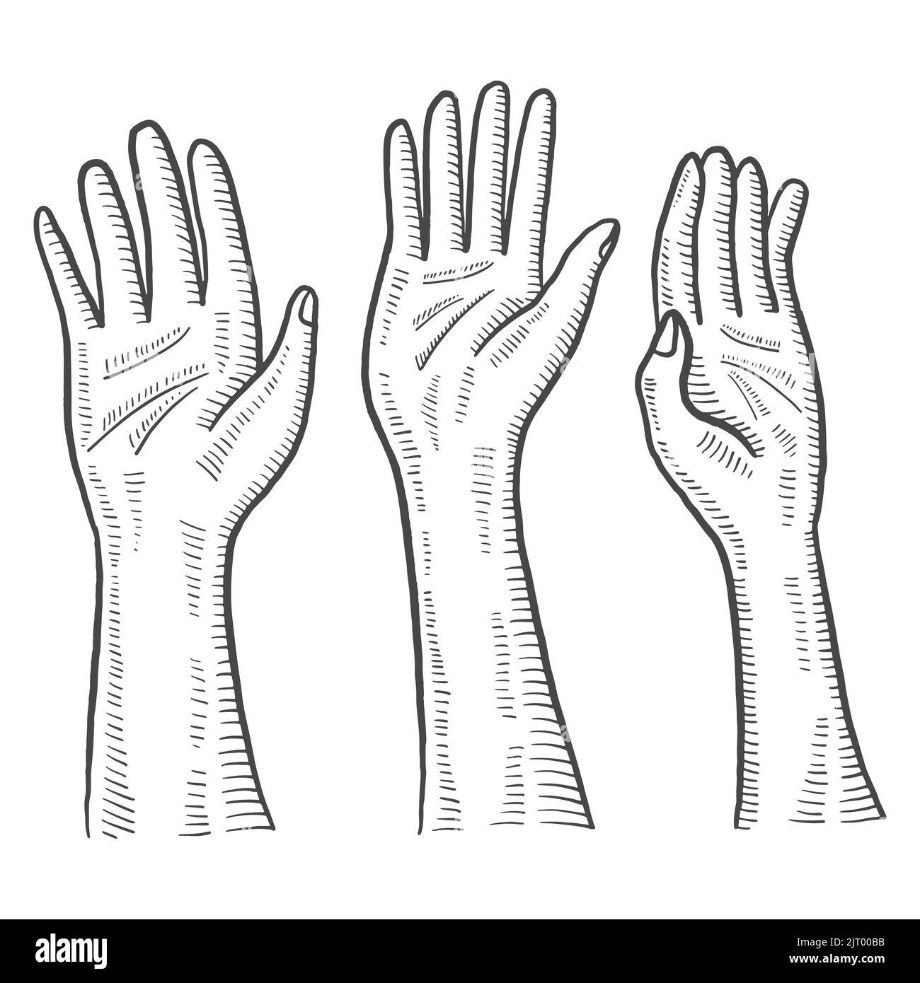 Lever la main dessin humoriste Banque d'images noir et blanc - Alamy