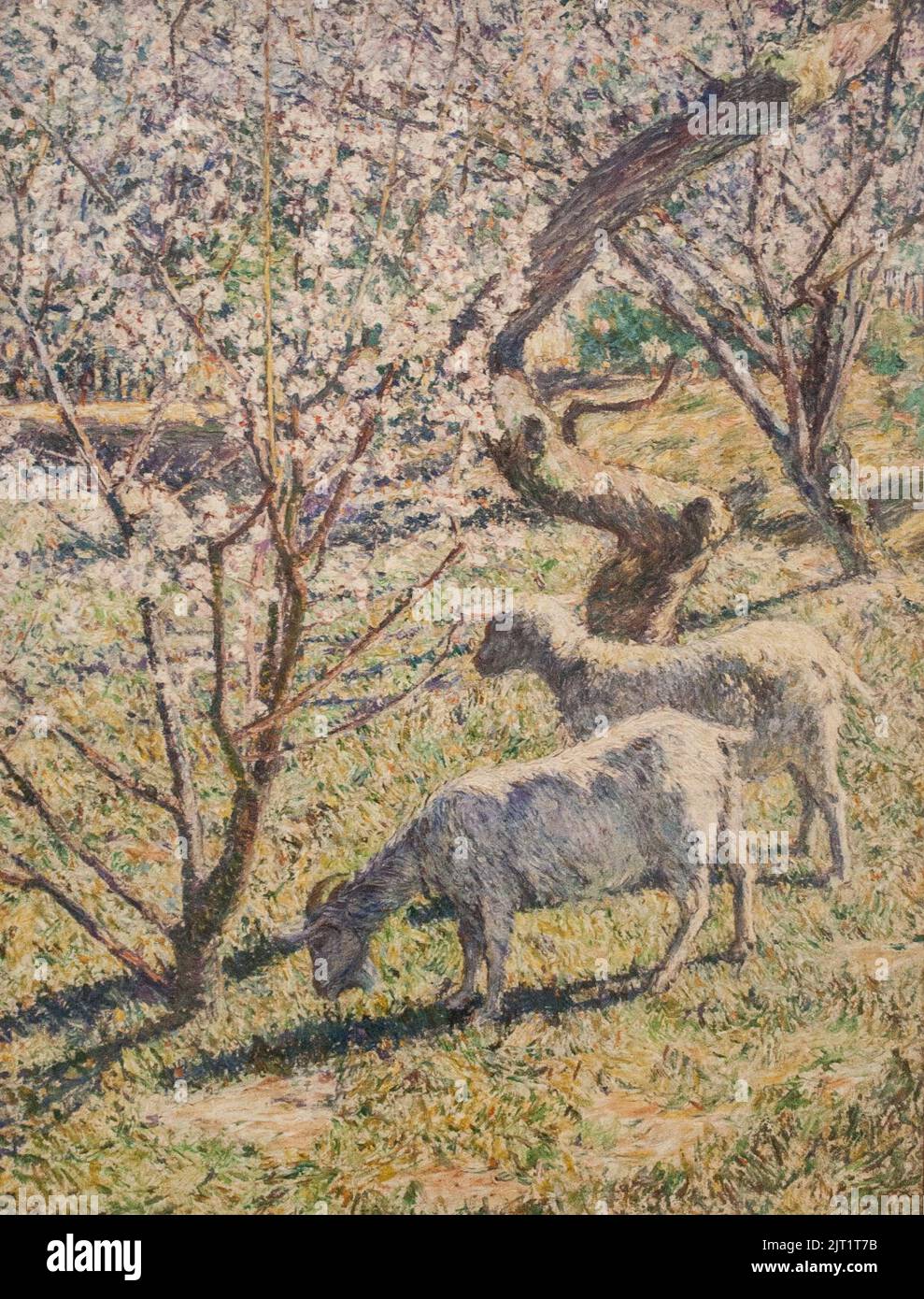 Kojima torajiro Banque de photographies et d’images à haute résolution ...