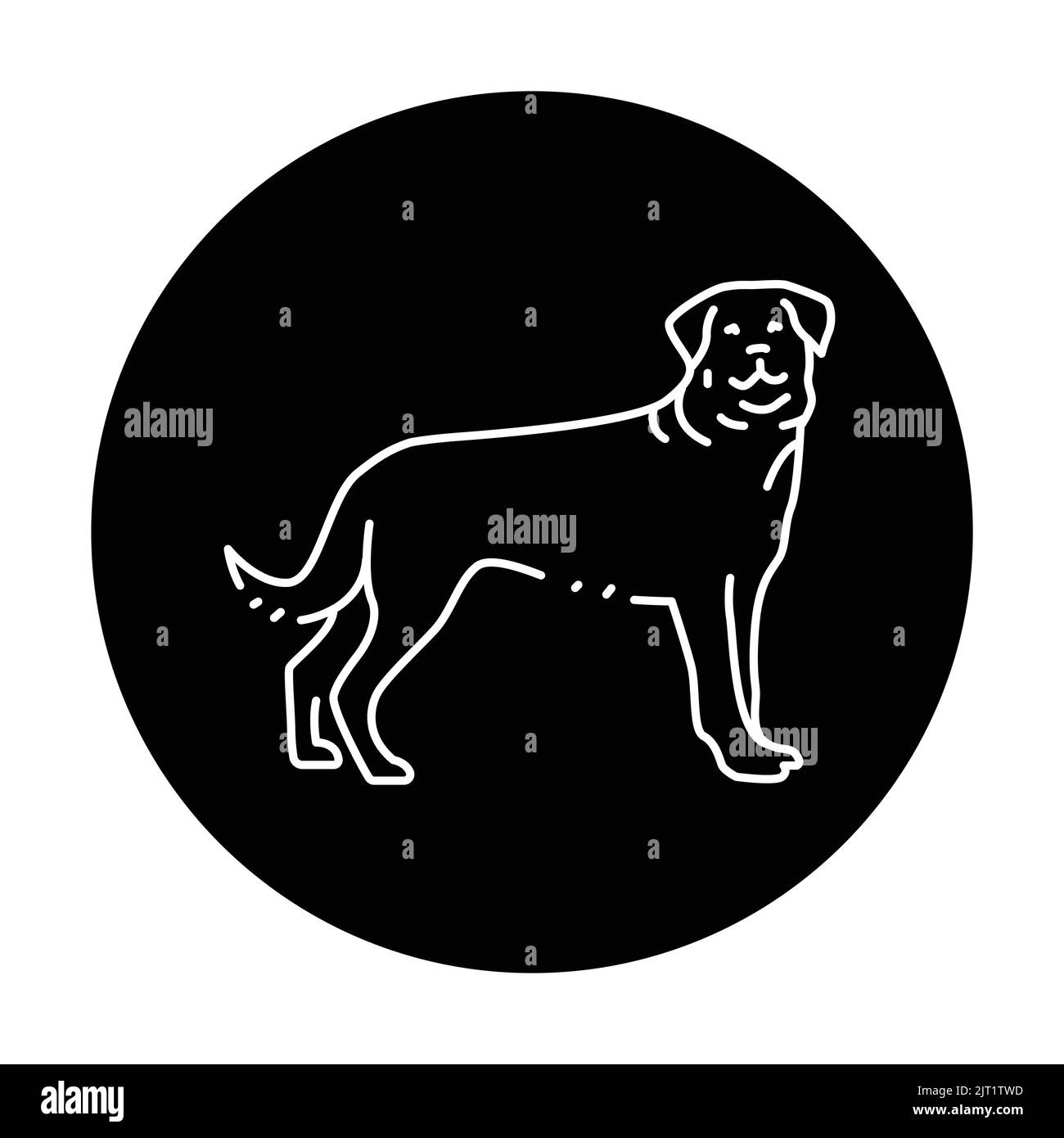 Icône de la ligne de couleur du rottweiler. Chien race. Pictogramme ...