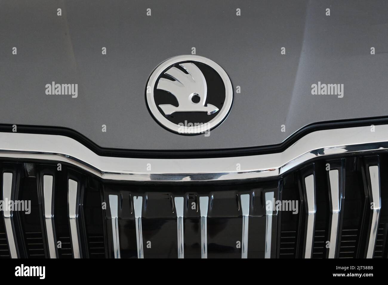 Skoda logo Banque de photographies et d’images à haute résolution - Alamy