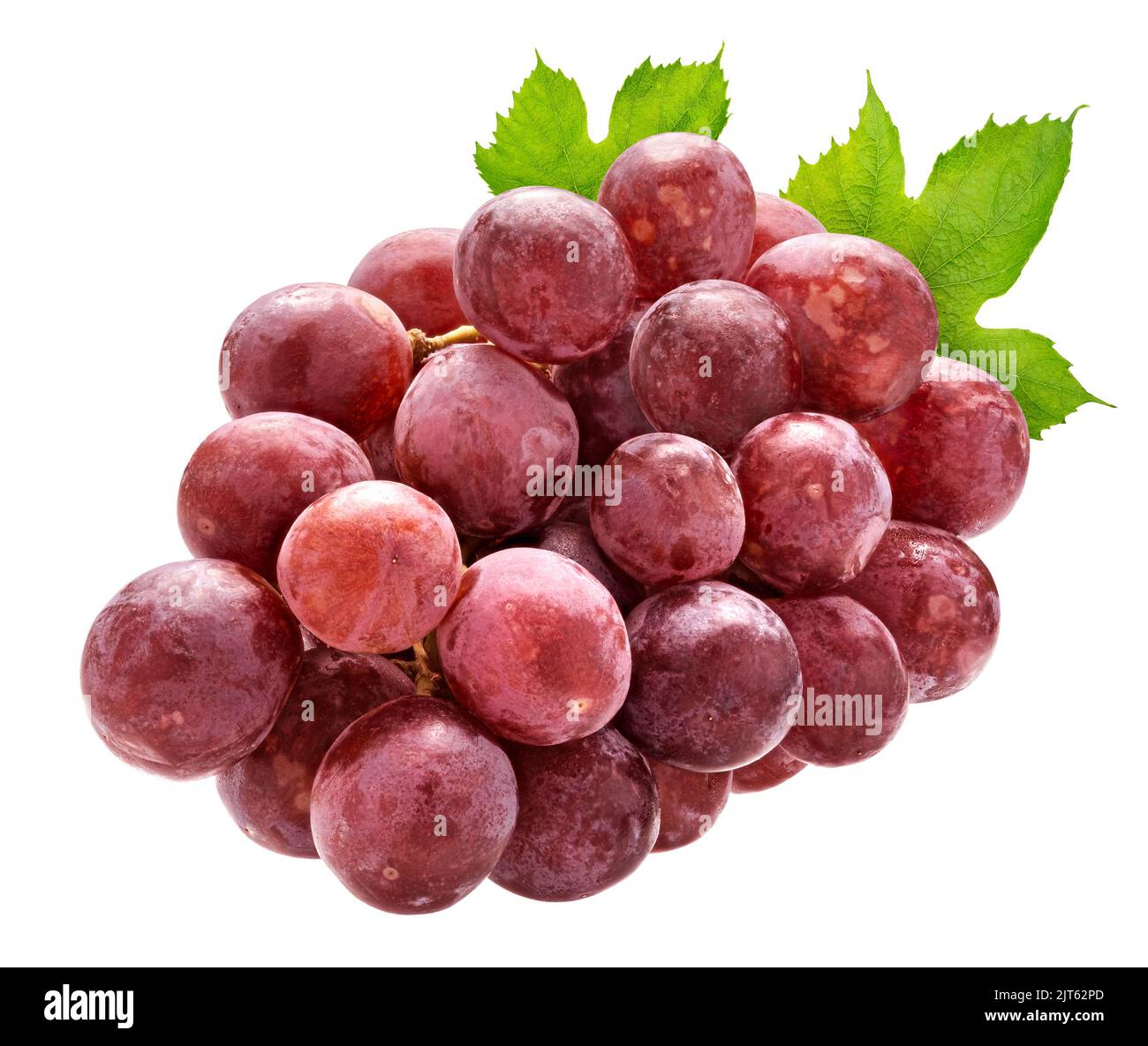 Grappe de raisin rouge Banque de photographies et d’images à haute ...