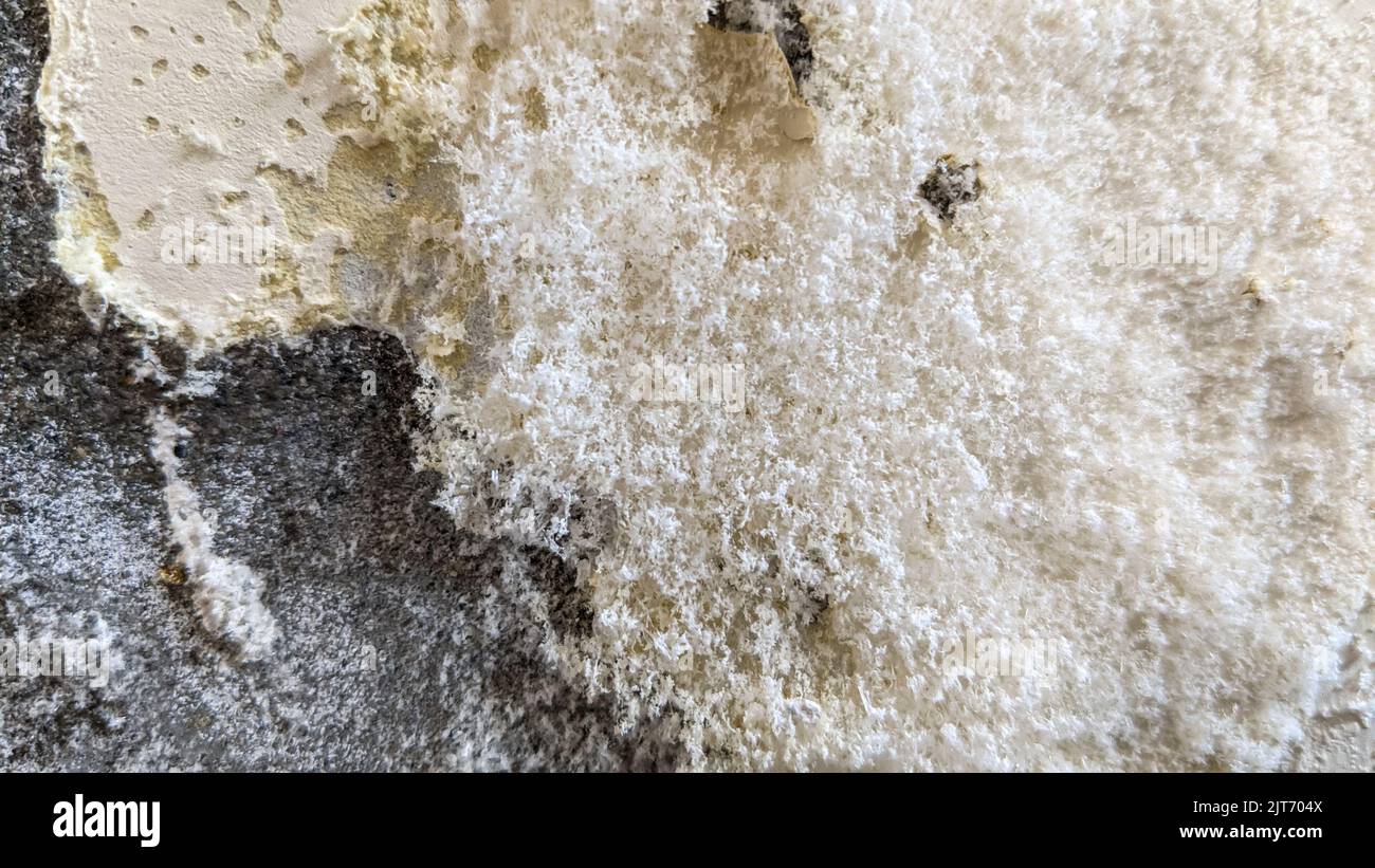 Mur de sel Banque de photographies et d’images à haute résolution - Alamy