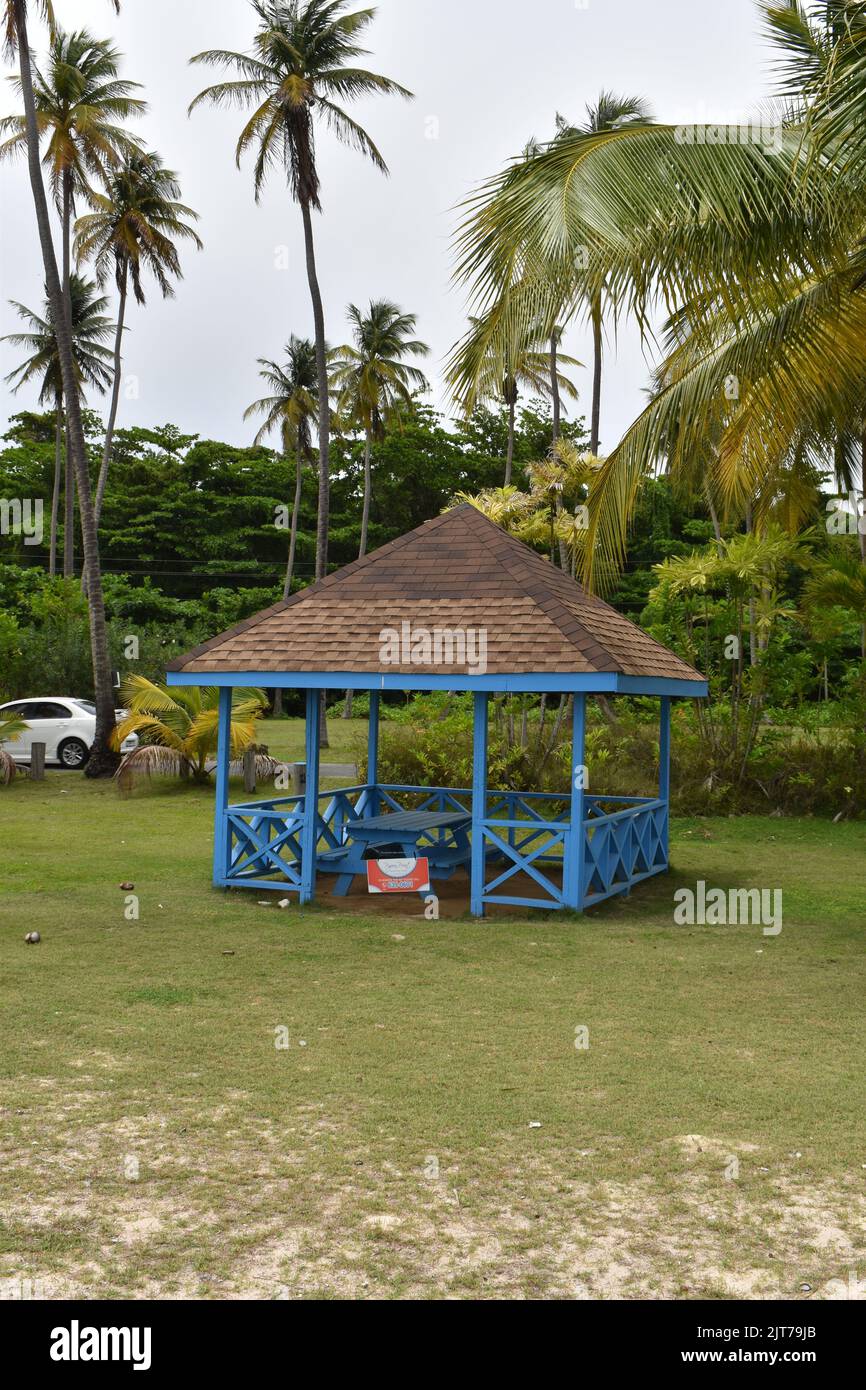 Pigeon point, Tobago - 12 juillet 2022 - huttes ou moutons sur la côte ...