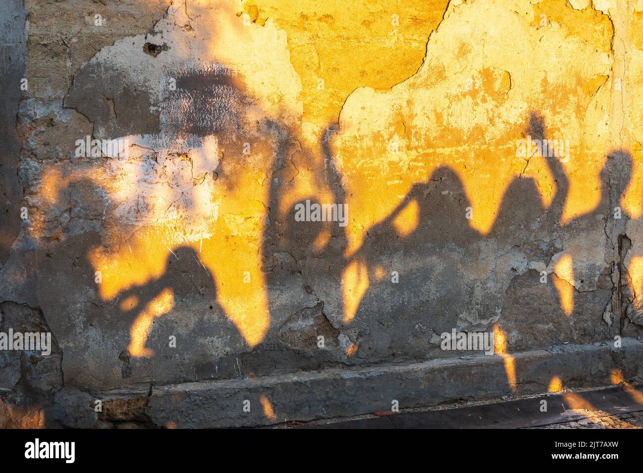 Des ombres de dansant sur un vieux mur au coucher du soleil. Groupe d ...