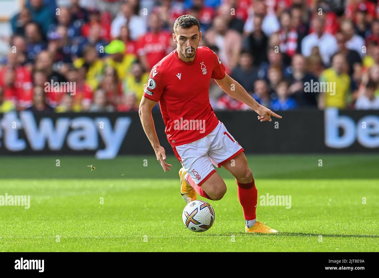 Harry Toffolo #15 de la forêt de Nottingham en action pendant le match ...