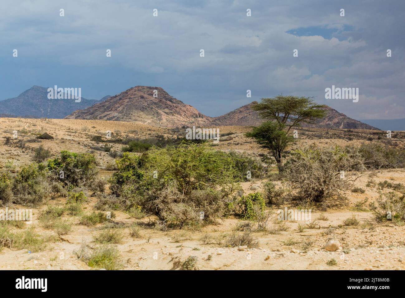 Somaliland landscape Banque de photographies et d’images à haute ...