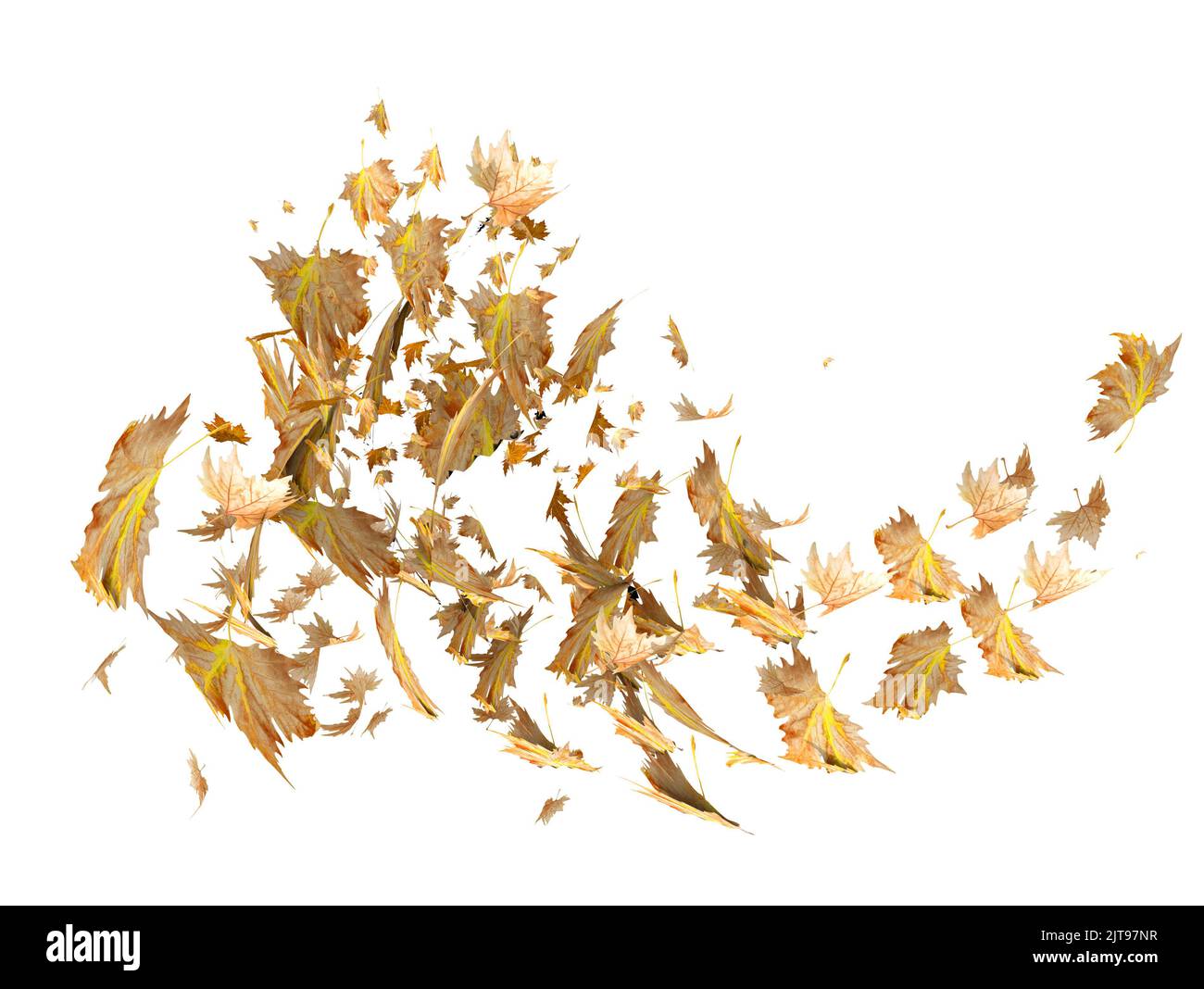 Feuilles qui tombent en automne Banque de photographies et d’images à ...