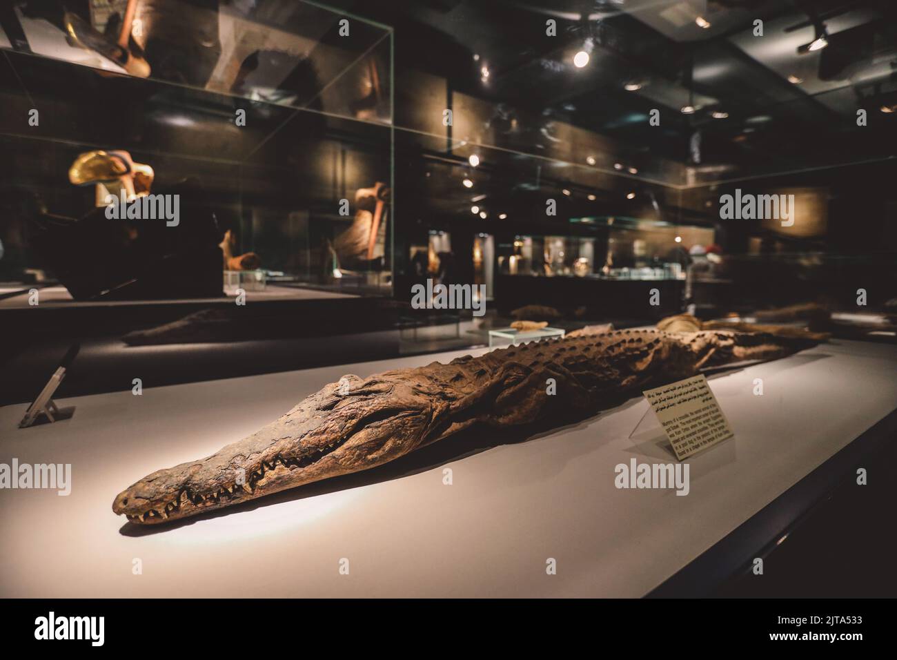 Louxor, Égypte - 13 novembre 2020 : expositions égyptiennes anciennes ...