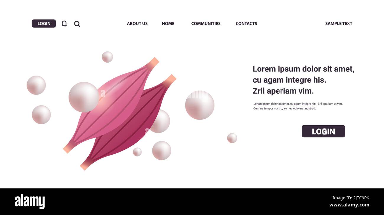 icône de muscle humain interne anatomie organe santé concept de ...