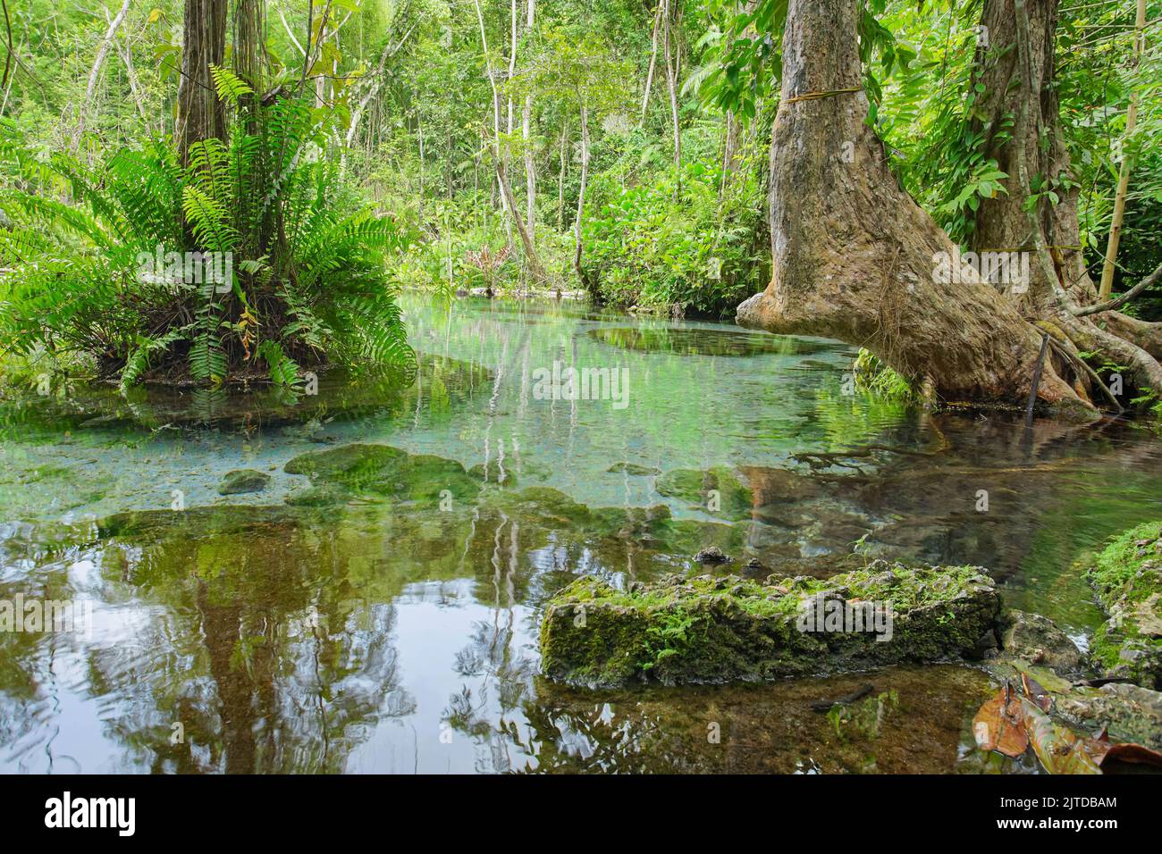 Khiri rat nikhom Banque de photographies et d’images à haute résolution ...
