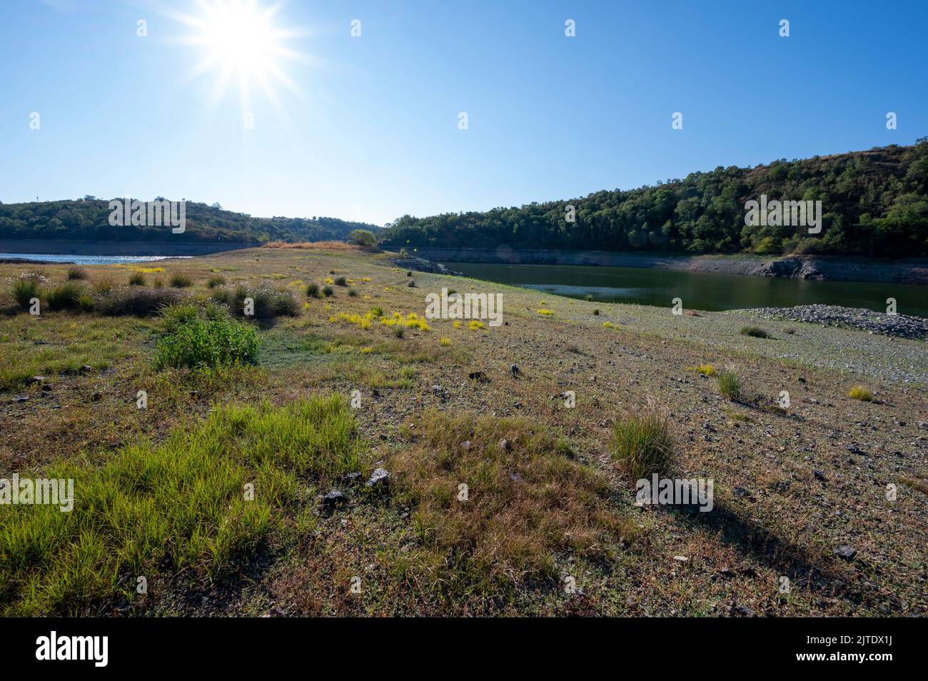Paysage de sécheresse en été autour du lac Villerest dans le ...