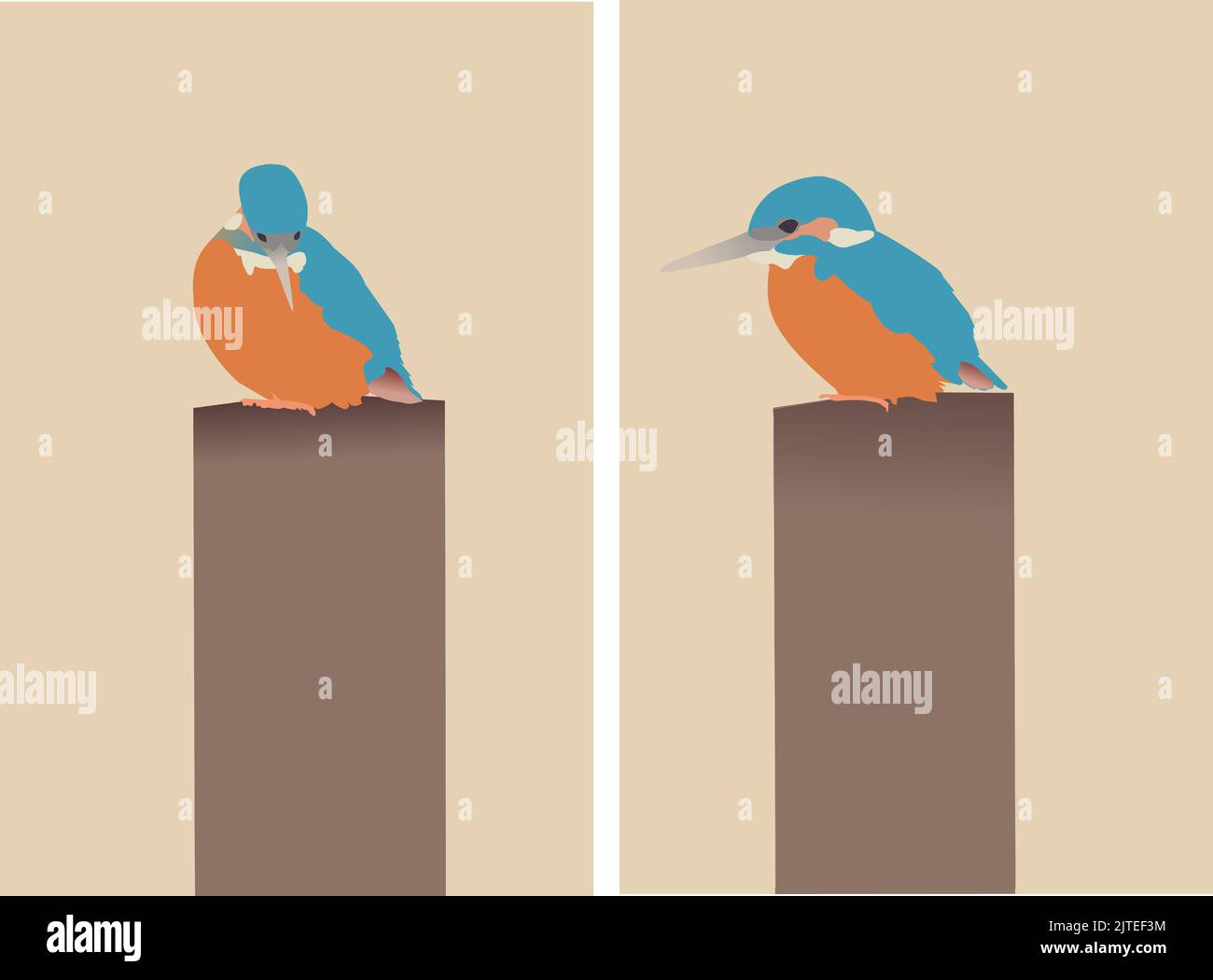 Wildlife pictures Banque d'images vectorielles - Alamy