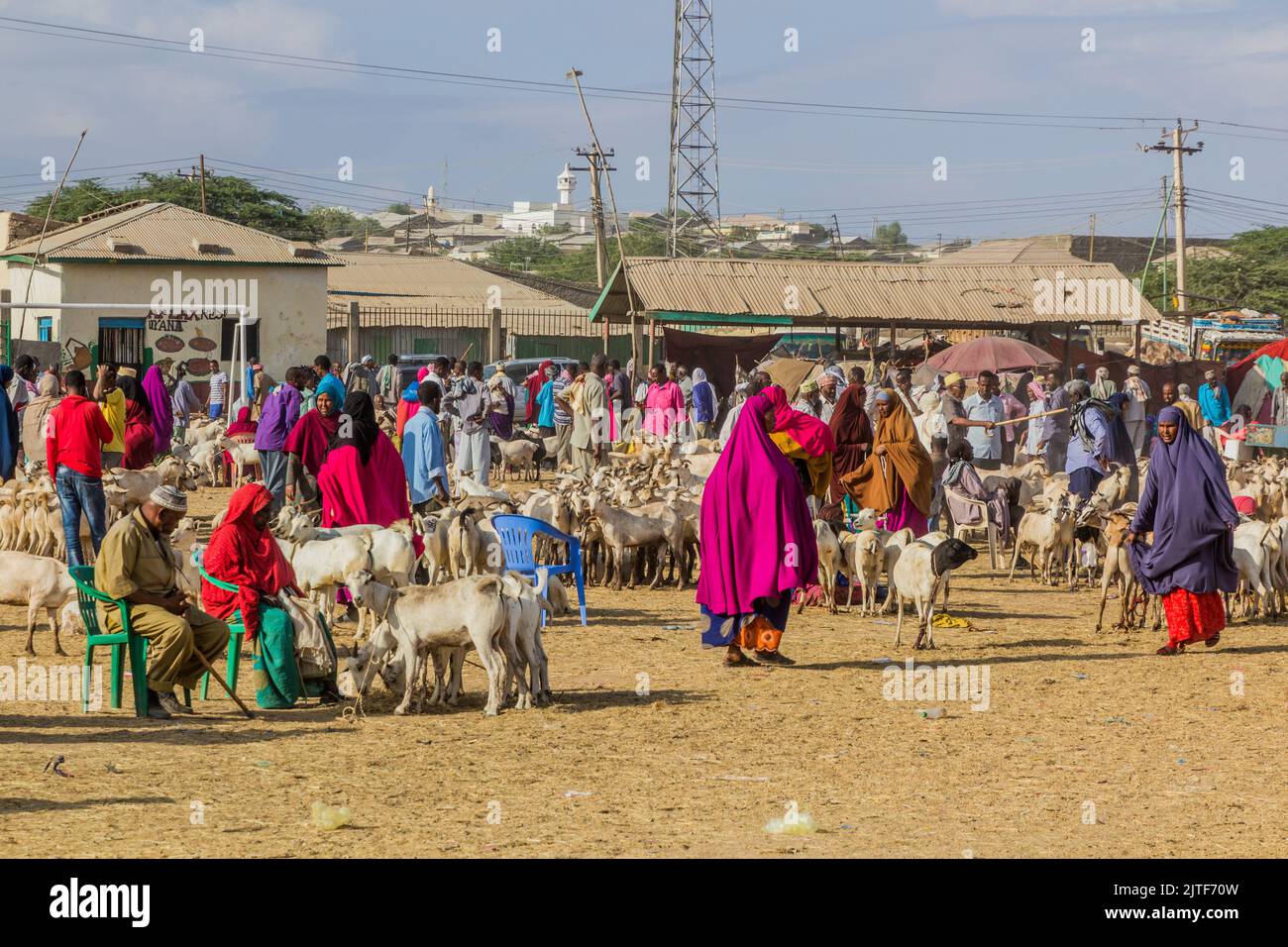HARGEISA, SOMALILAND - 15 AVRIL 2019 : vue du marché du bétail à ...
