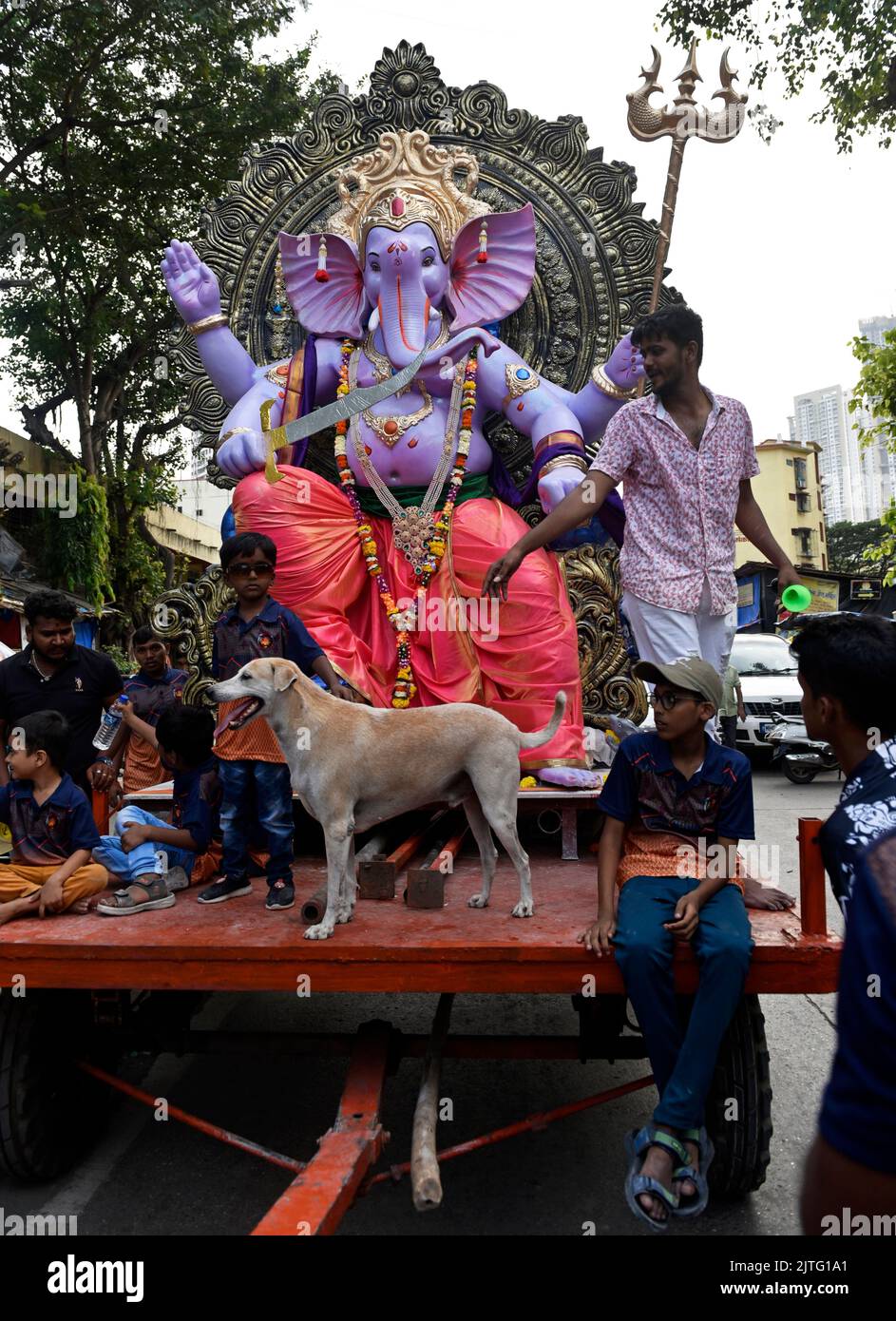Mumbai, Maharashtra, Inde. 30th août 2022. Un chien se tient sur une ...