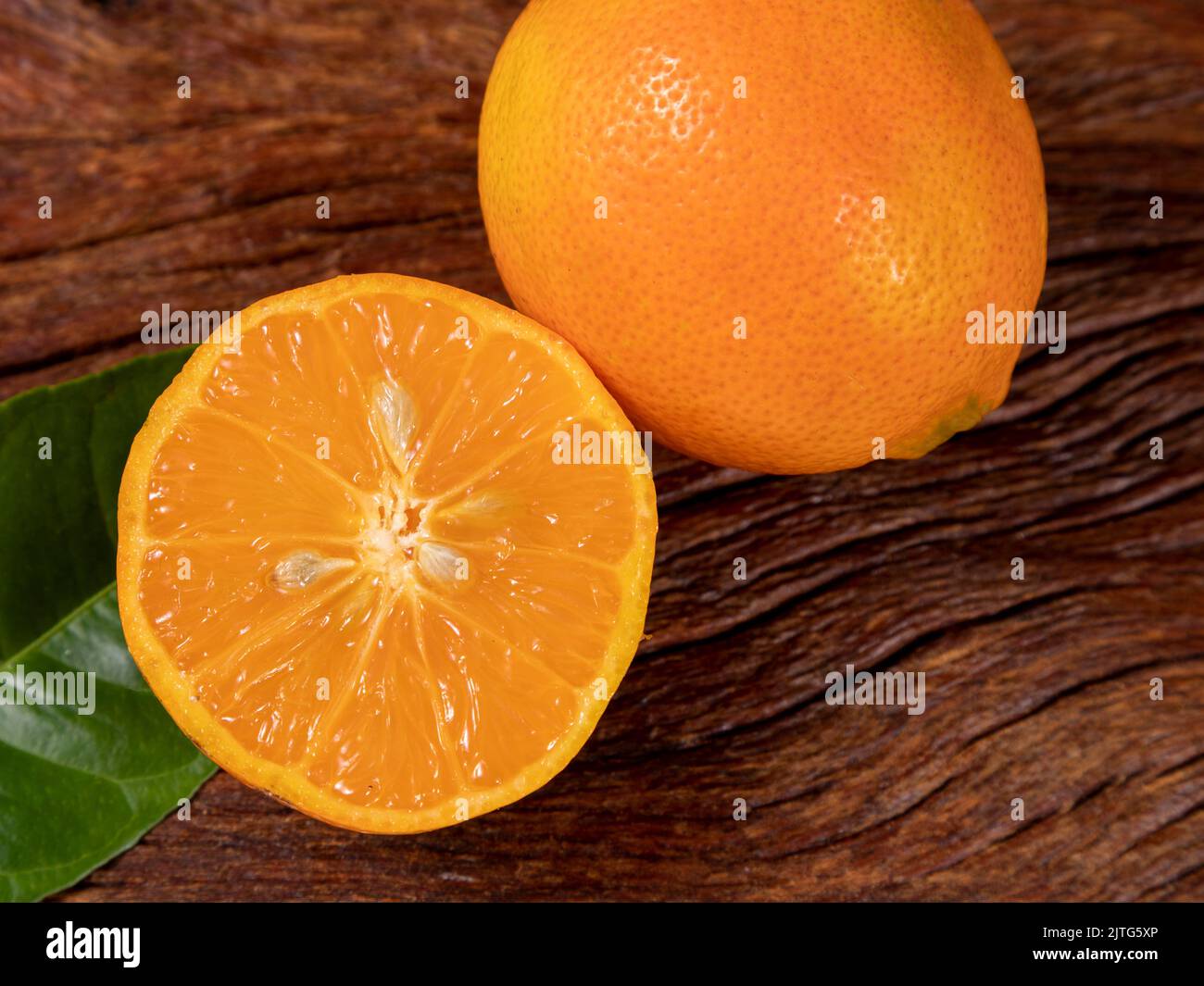 Rangpur, Citrus × limonia ou Citrus reticulata × medica, parfois appelé ...