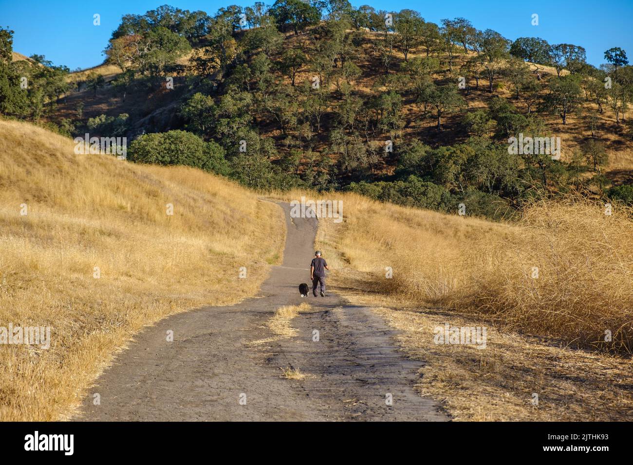 Un homme qui marche son chien le long d'un sentier de terre avec des ...