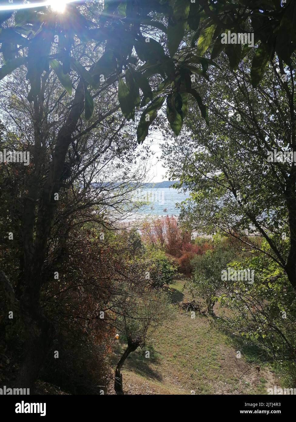 Nature de l'air pur Banque de photographies et d’images à haute ...