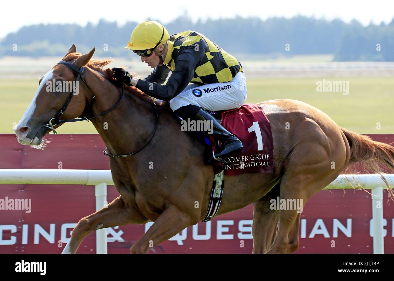 Photo du dossier datée du 13-08-2022 de Raise You Raise by Shane Cross ...